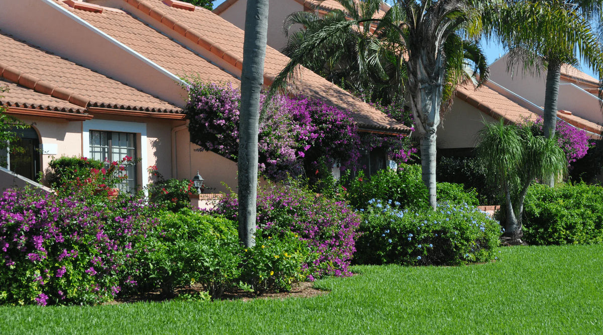 Florida Landscaping Challenges: 5 of the Biggest Obstacles to Successf ...